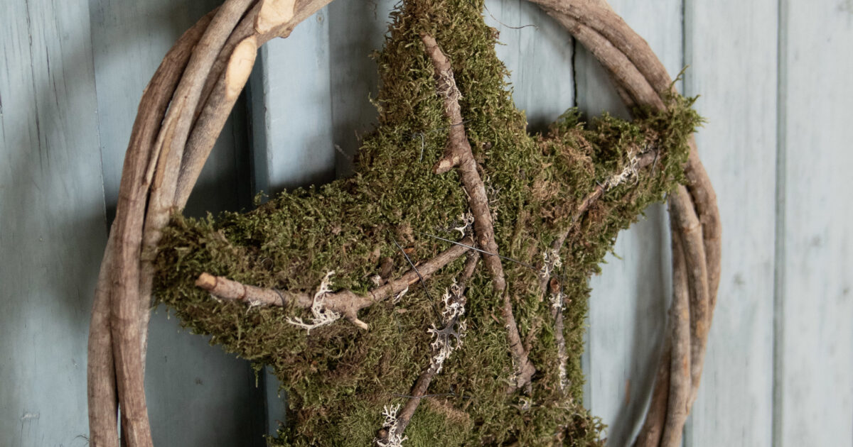 Couronne | Wild lily flower