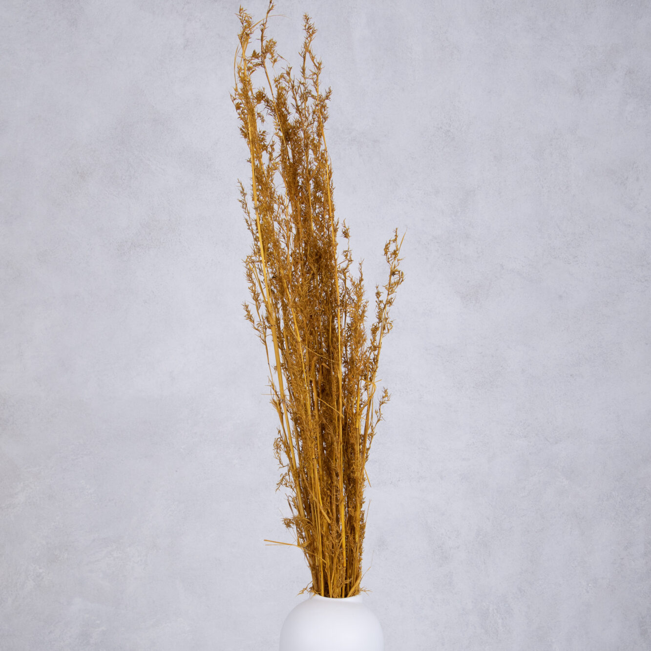 Couronne Alpha Grass