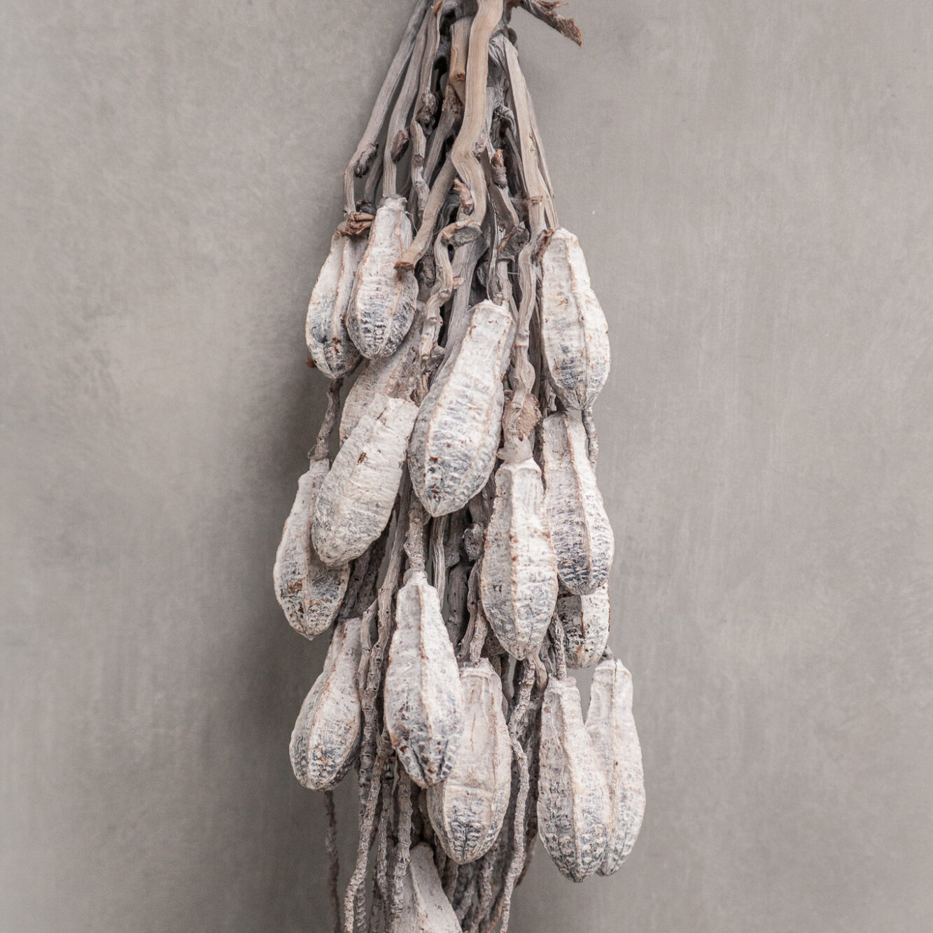 Couronne | Coco finger branch with mahogany